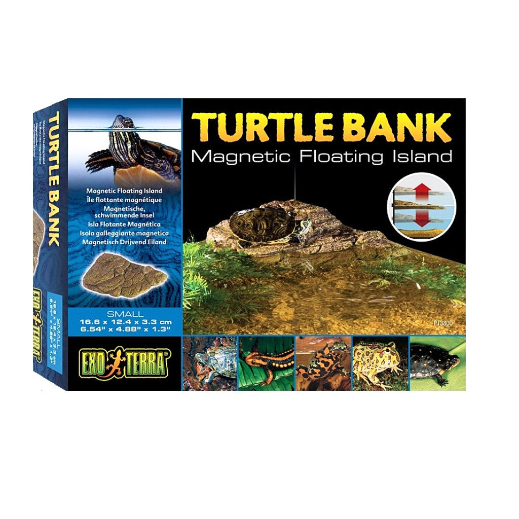 TURTLE BANK