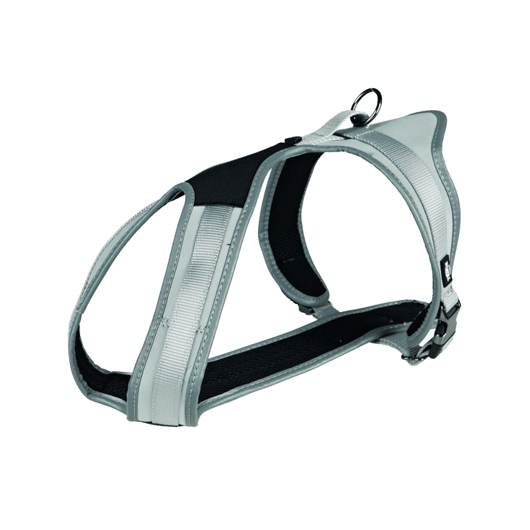 Trixie Pettorina Experience Argento