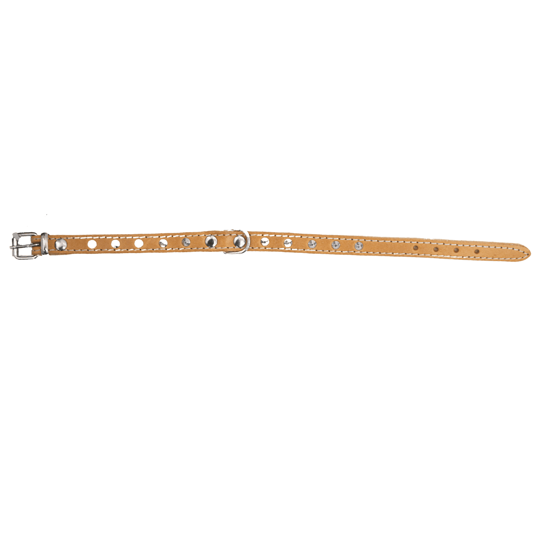 Trixie Collare Basic Con Borchie Naturale