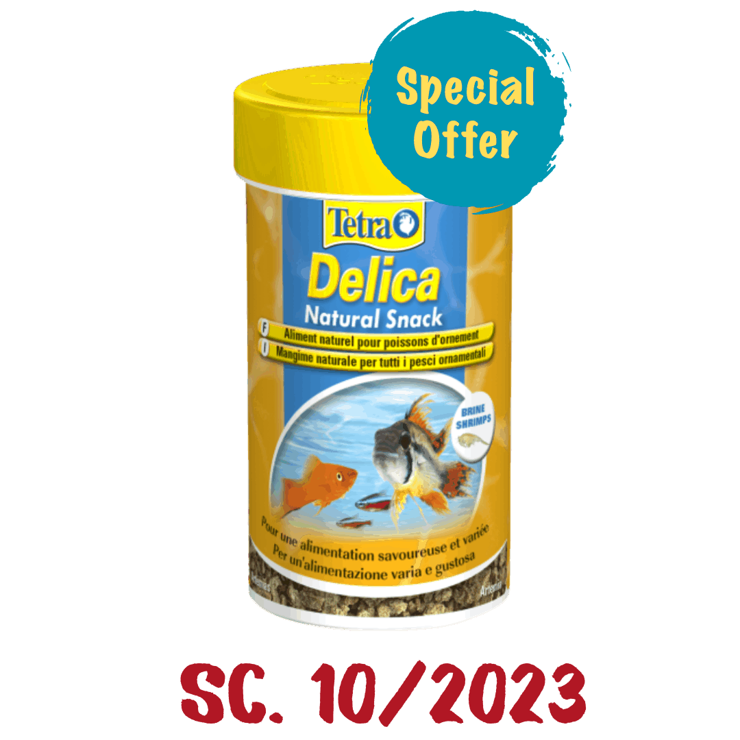 Super Promo - Tetra Delica Natural Snack (Scadenza 10-2023 ...