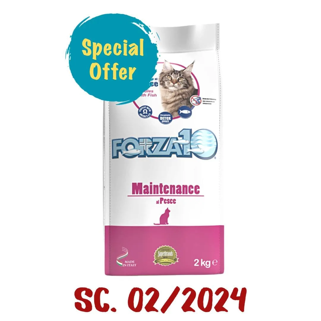 Super Promo - Forza10 Maintenance Gatto 2Kg (Scadenza 02/2024) - lallohallo.com