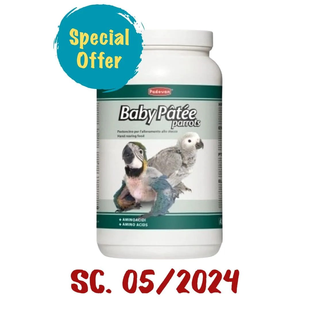 Super Promo - Padovan Baby Patè Parrots 900 gr (Scadenza 05-2024 ...